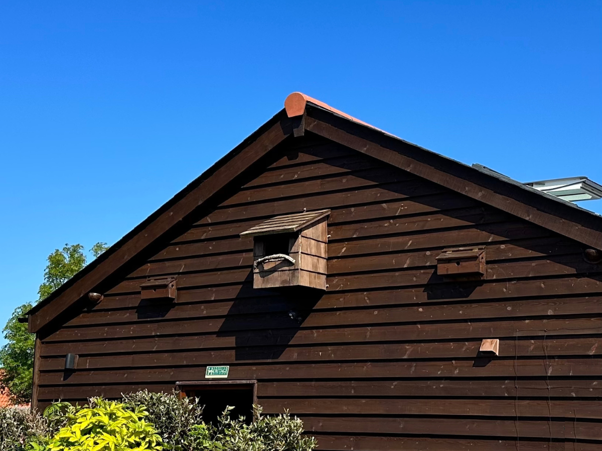 Your Eco-Friendly Retreat - Camp de Rêves Glampsite Guernsey